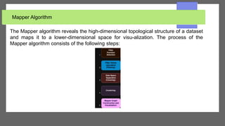 Dynamic Multi Scaled Topological Representation For Enhancing Network Intrusion Detection System ...