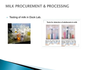 milk procurement | PPTX