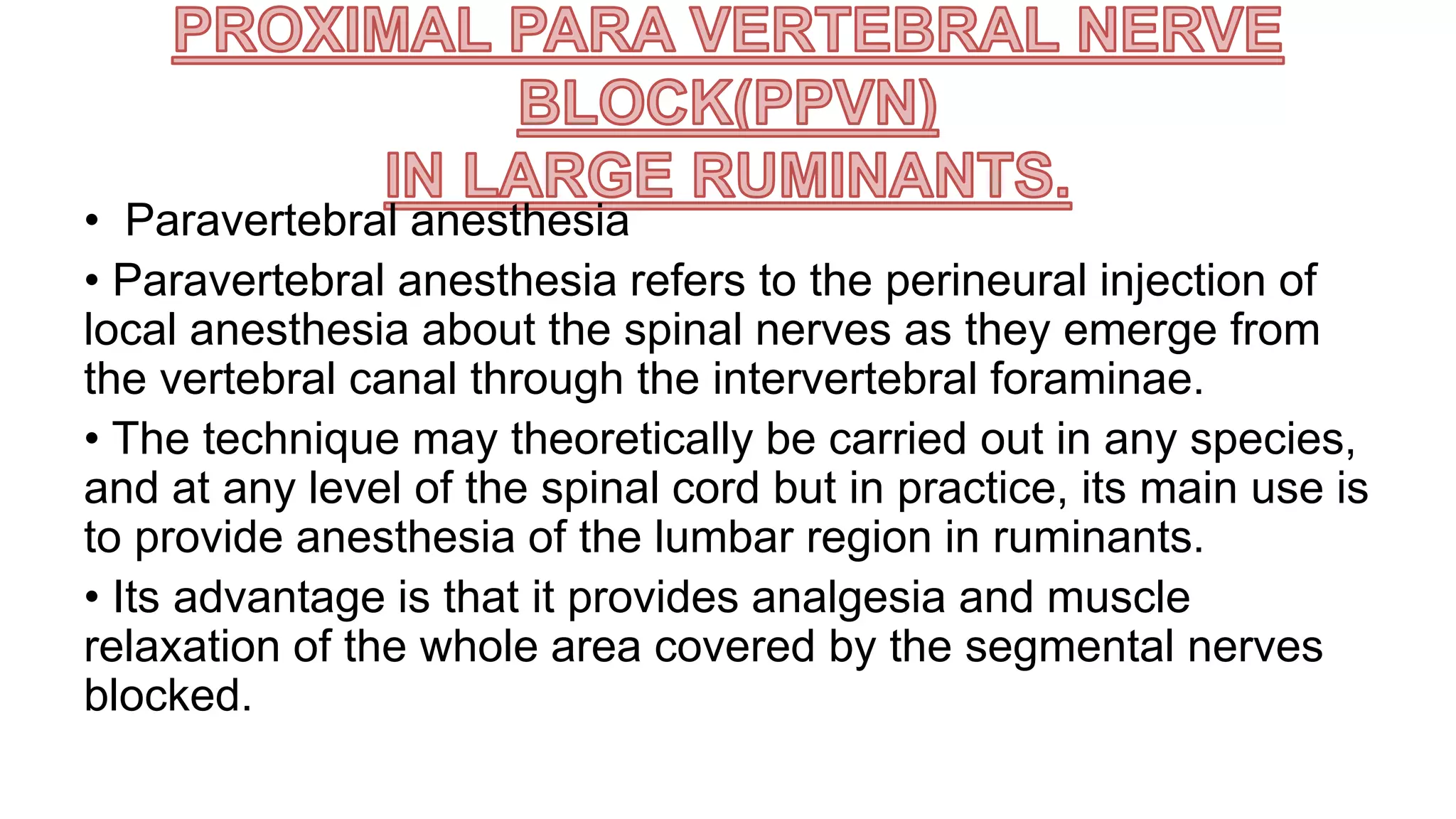 Paravertebral nerve block in animals | PPTX