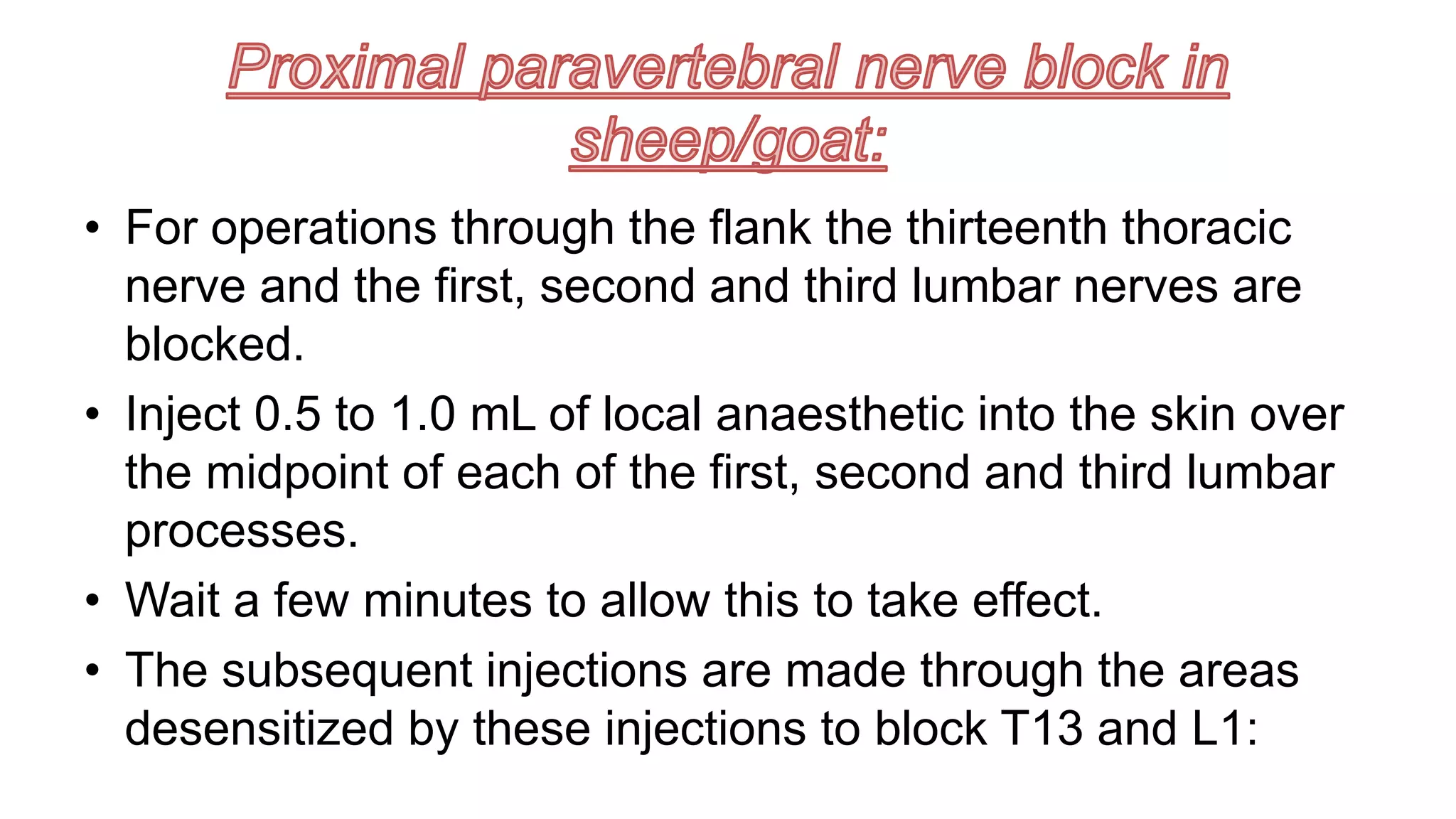 Paravertebral nerve block in animals | PPTX