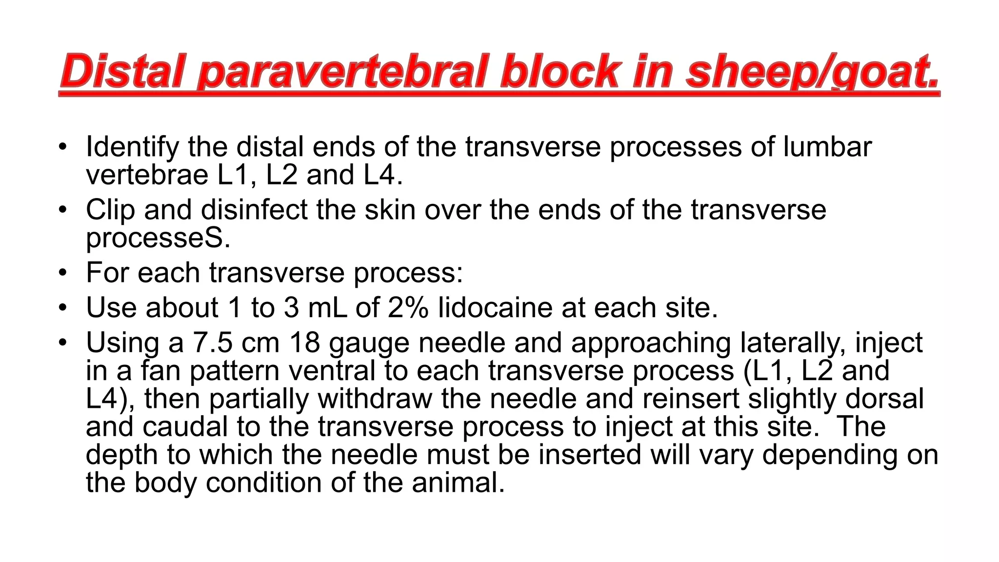 Paravertebral nerve block in animals | PPTX