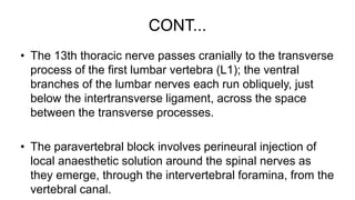 Paravertebral nerve block in animals | PPTX