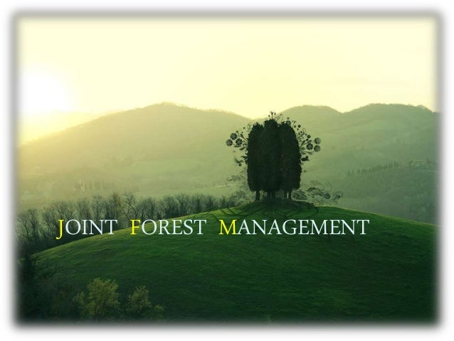 Joint forest management