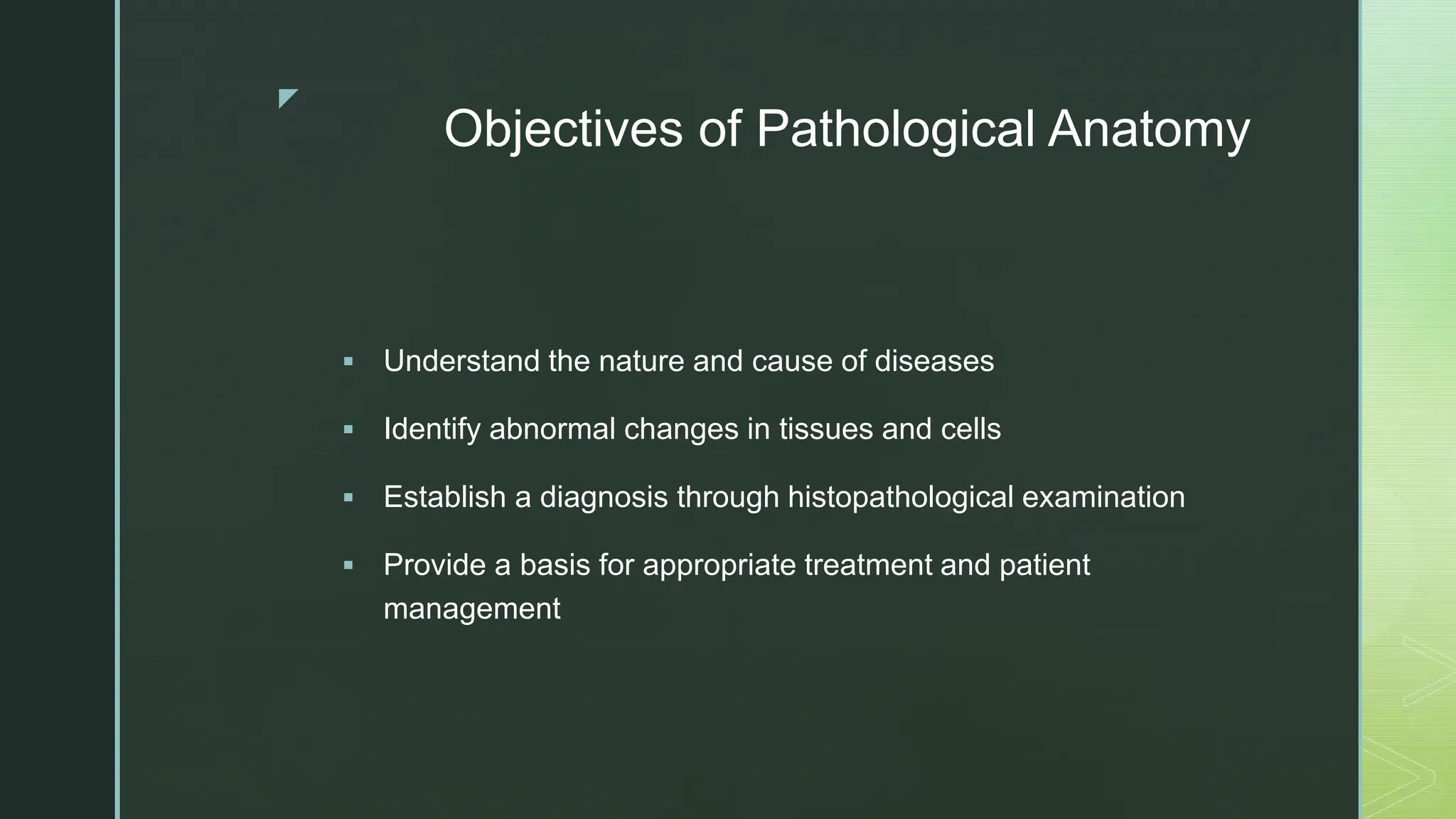 Presentation path anatomy.pptx