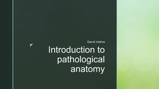 Presentation path anatomy.pptx