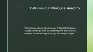 Presentation path anatomy.pptx
