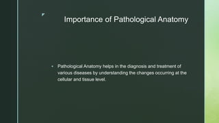 Presentation path anatomy.pptx