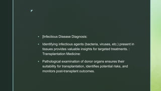 Presentation path anatomy.pptx