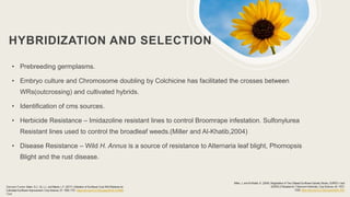 Sunflower breeding and current prospects | PPTX