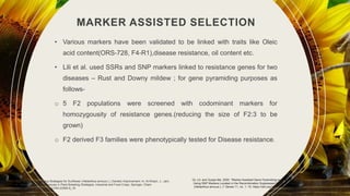 Sunflower breeding and current prospects | PPTX