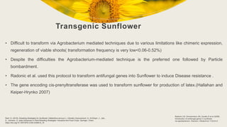 Sunflower breeding and current prospects | PPTX