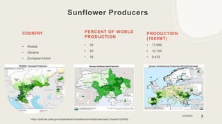 Sunflower breeding and current prospects | PPTX