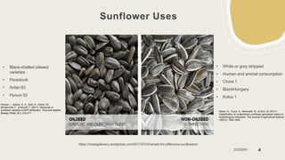 Sunflower breeding and current prospects | PPTX
