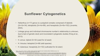 Sunflower breeding and current prospects | PPTX