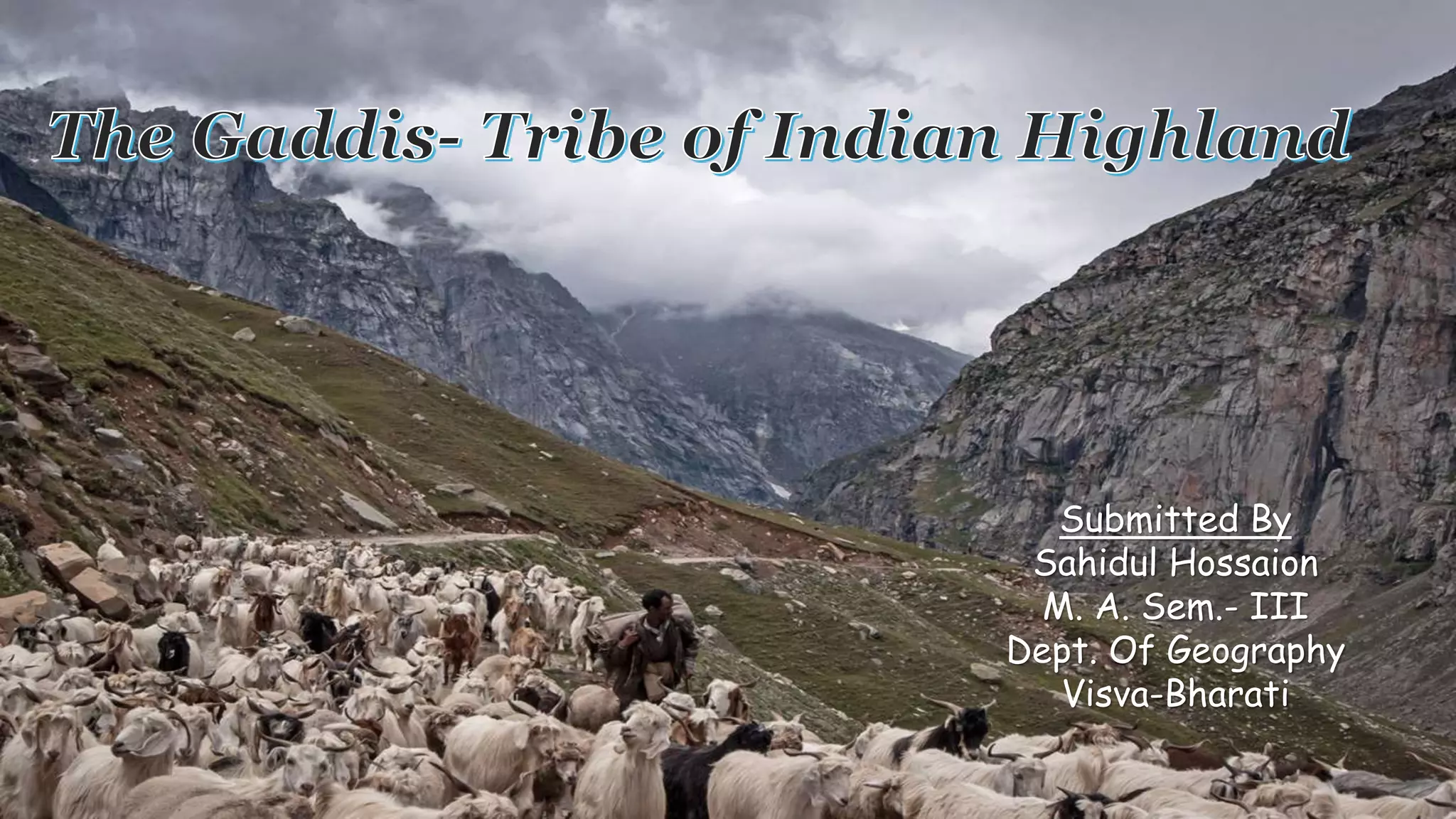 the Guddis- tribe of indian highland | PPTX