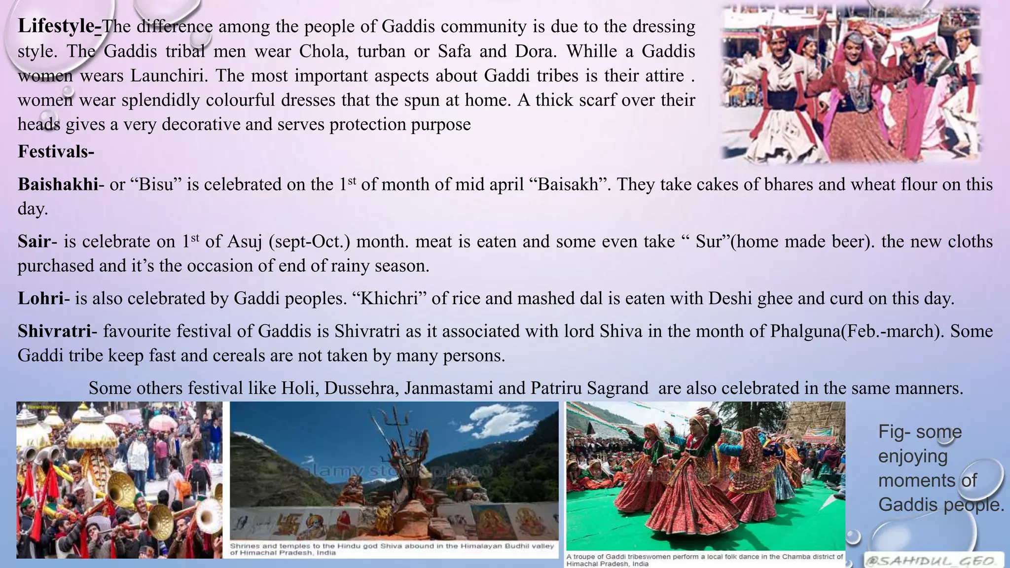 the Guddis- tribe of indian highland | PPTX