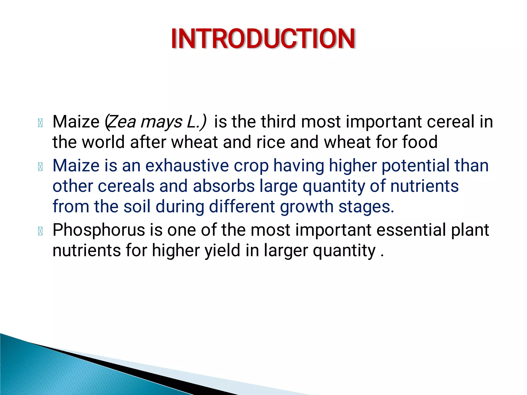 ROLE OF PHOSPHORUS ON THE YIELD AND YIELD COMPONENTS OF MAIZE | PDF