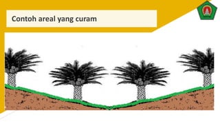 Presentation pengantar ilmu pertanian dan pengetahuan perkebunan | PPTX