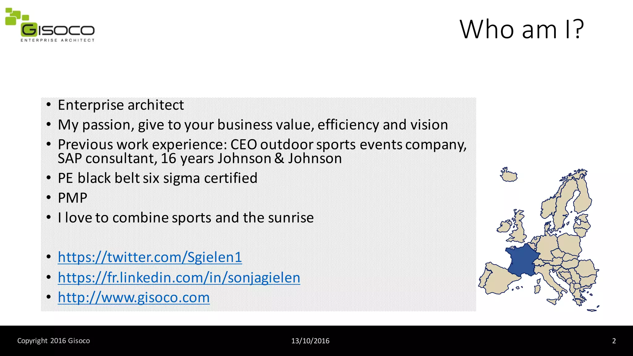 PE Playbook - Process Excellence | PDF