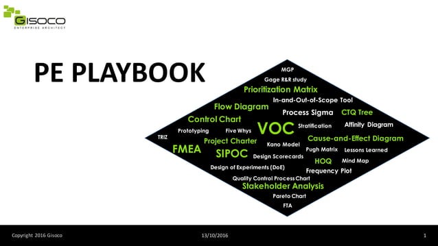PE Playbook - Process Excellence | PDF