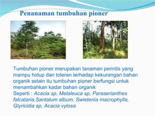 Presentation pertambangan | PPT