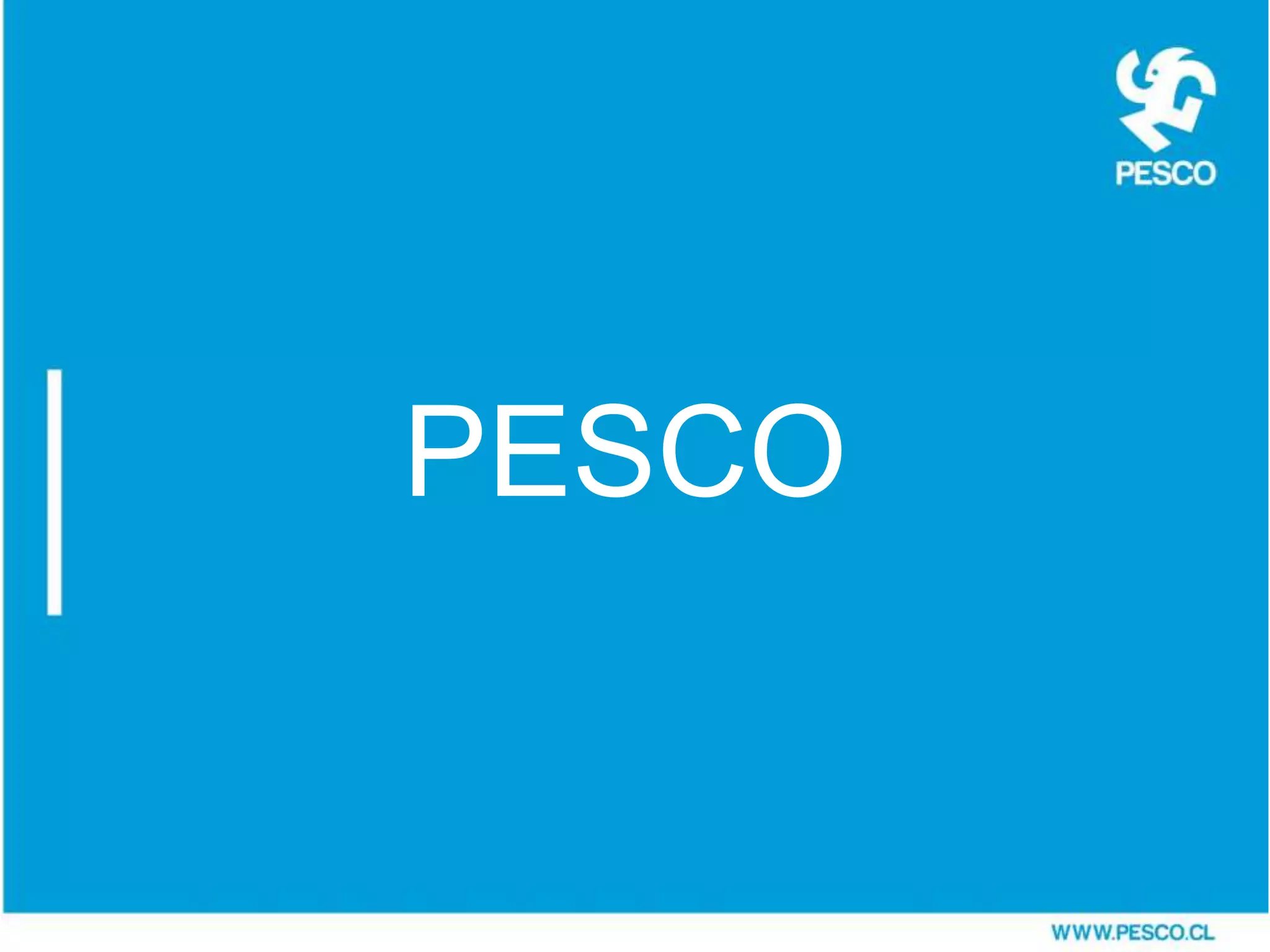 Presentation Pesco English | PPTX