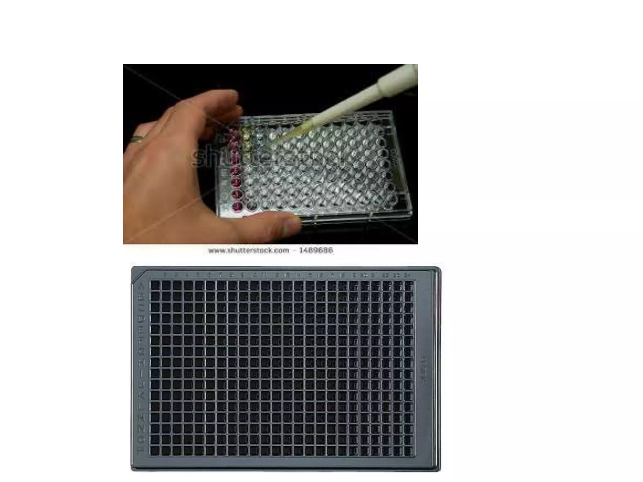 High Throughput Screening Technology Pptx