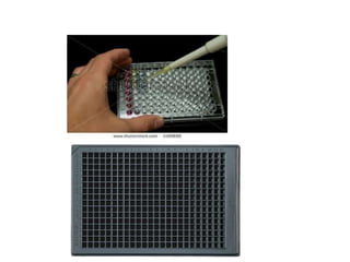 HIGH THROUGHPUT SCREENING Technology | PPTX