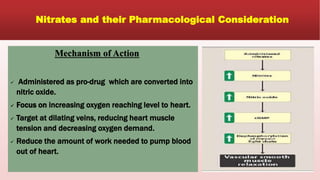 Drugs Acting on CVS, ANS and Antihistamines | PPT
