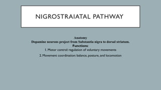 Dopamine Pathways psychopharmacology ppt | PPTX
