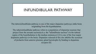 Dopamine Pathways psychopharmacology ppt | PPTX
