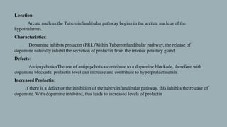 Dopamine Pathways psychopharmacology ppt | PPTX