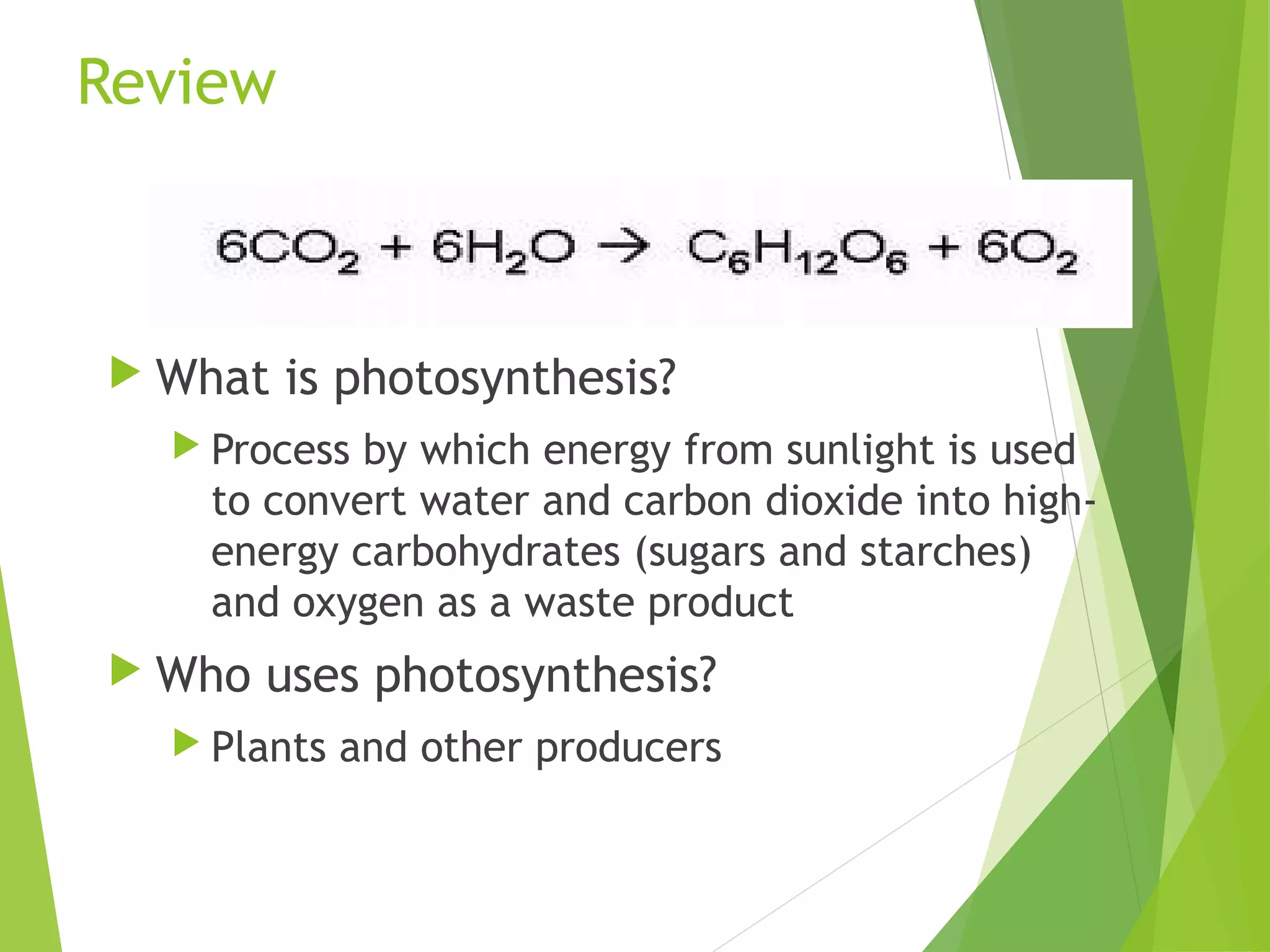 Presentation photosynthesis | PPT