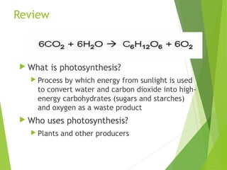 Presentation photosynthesis | PPT