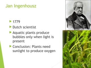 Presentation photosynthesis | PPT