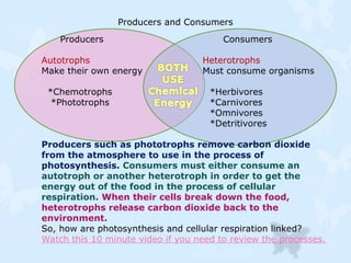 Presentation Photosynthesis Cellular Respiration.ppt
