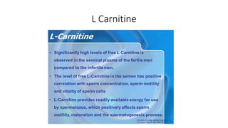 Pinaka XT - Nutraceutical for Erectile Dysfunction | PPT