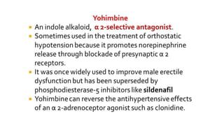 Pinaka XT - Nutraceutical for Erectile Dysfunction | PPT