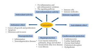 Pinaka XT - Nutraceutical for Erectile Dysfunction | PPT