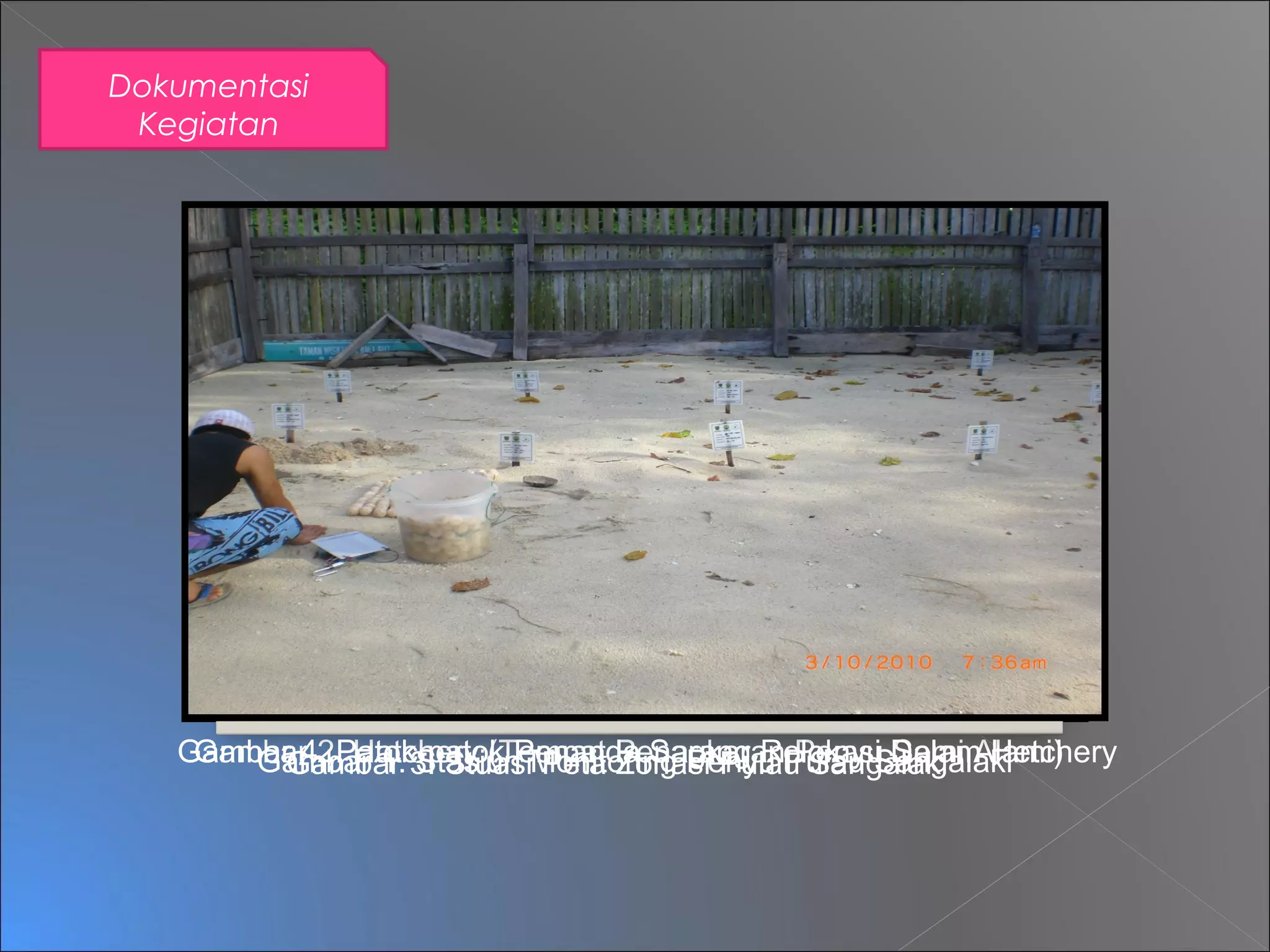 Presentation pkl mupit | PPT