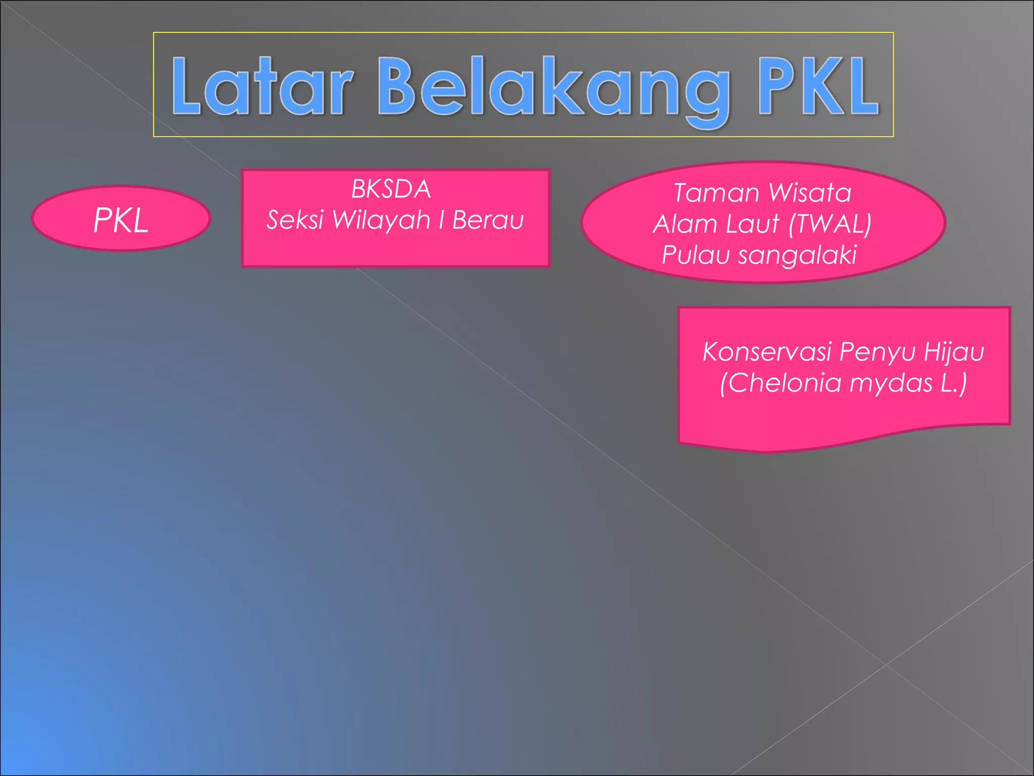 Presentation pkl mupit | PPT