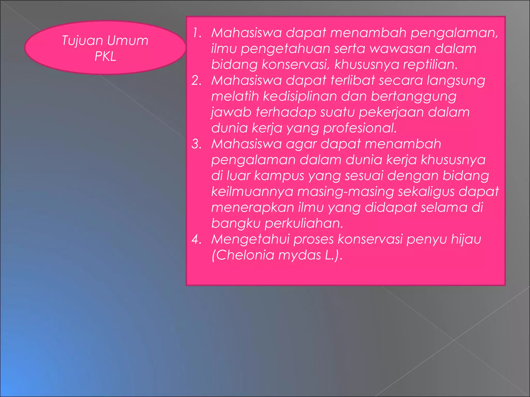 Presentation pkl mupit | PPT