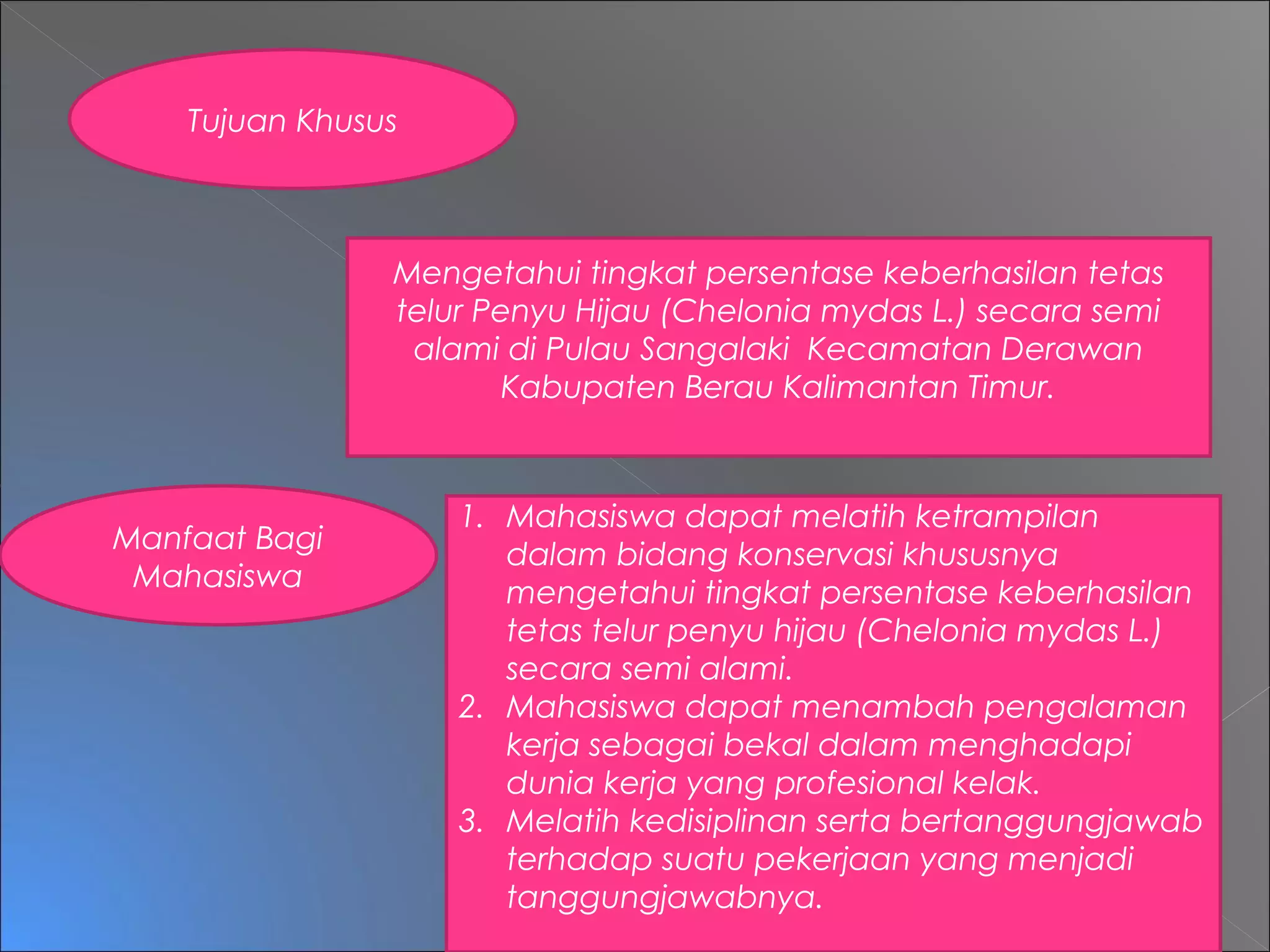 Presentation pkl mupit | PPT