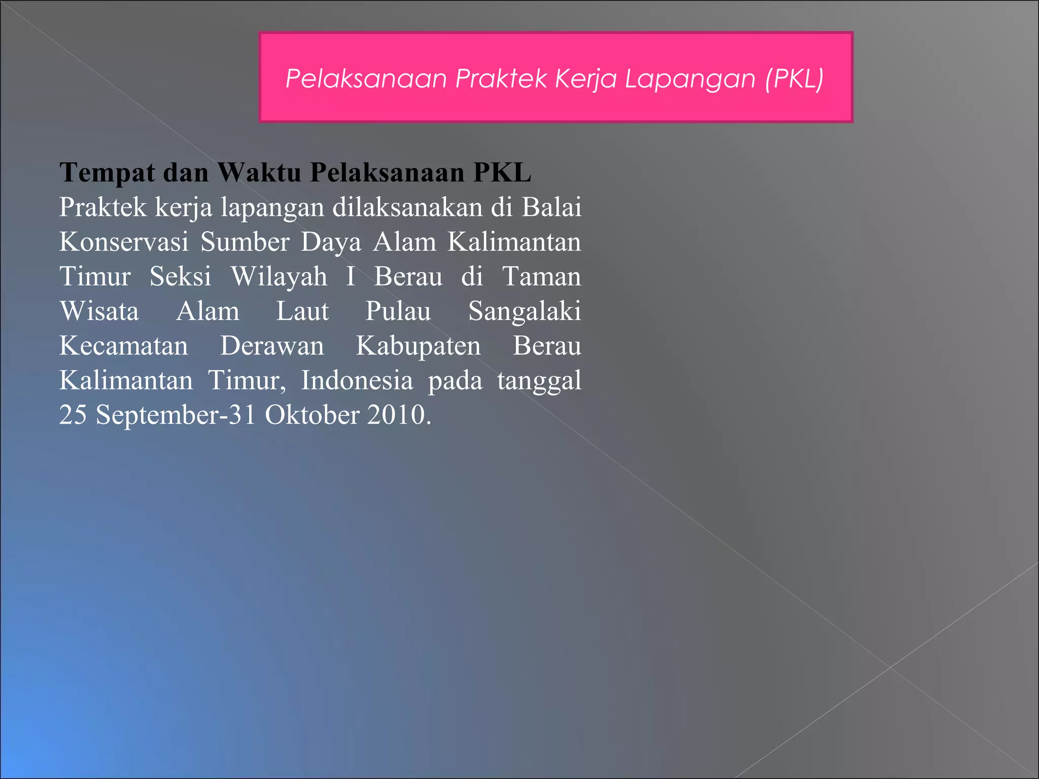 Presentation pkl mupit | PPT