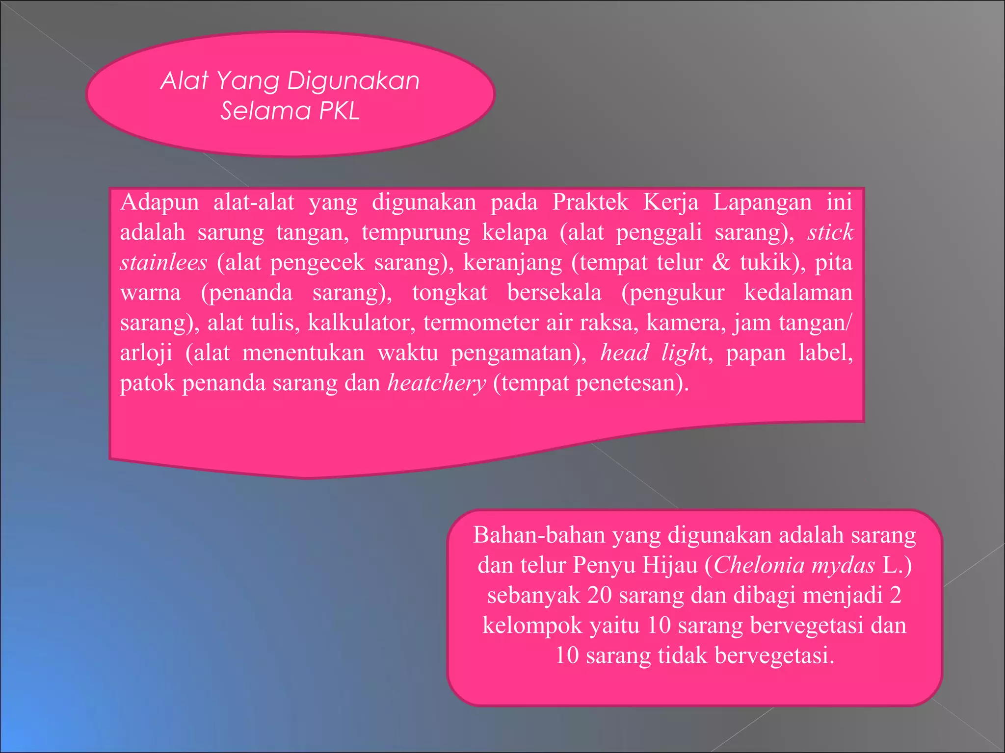 Presentation pkl mupit | PPT