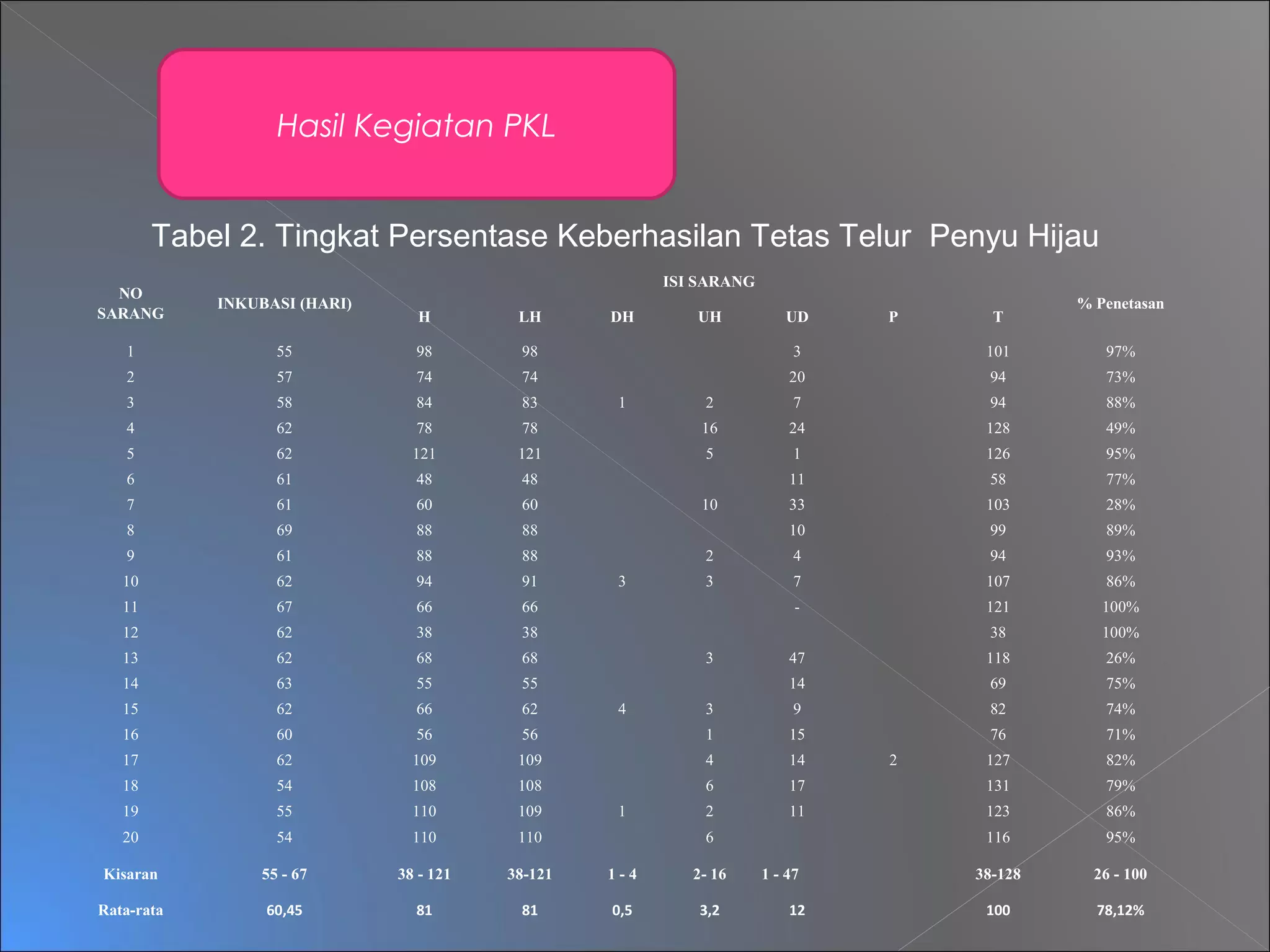 Presentation pkl mupit | PPT