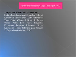Presentation pkl mupit | PPT