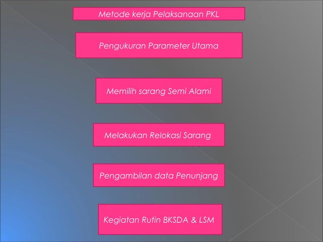 Presentation pkl mupit | PPT