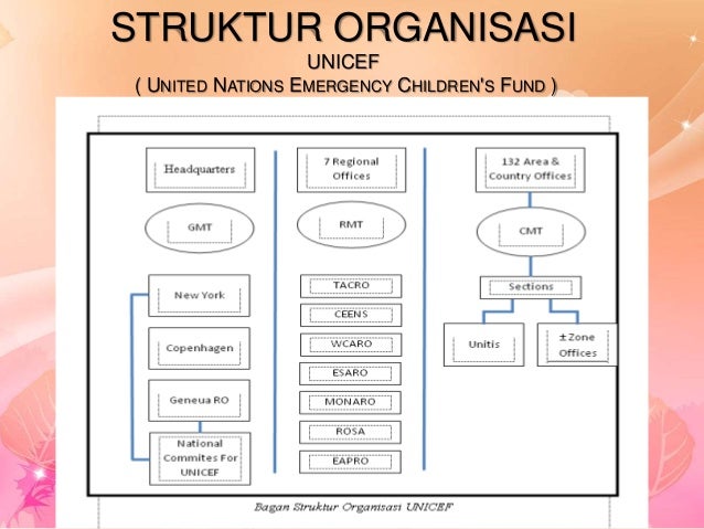 Presentation pkn unicef