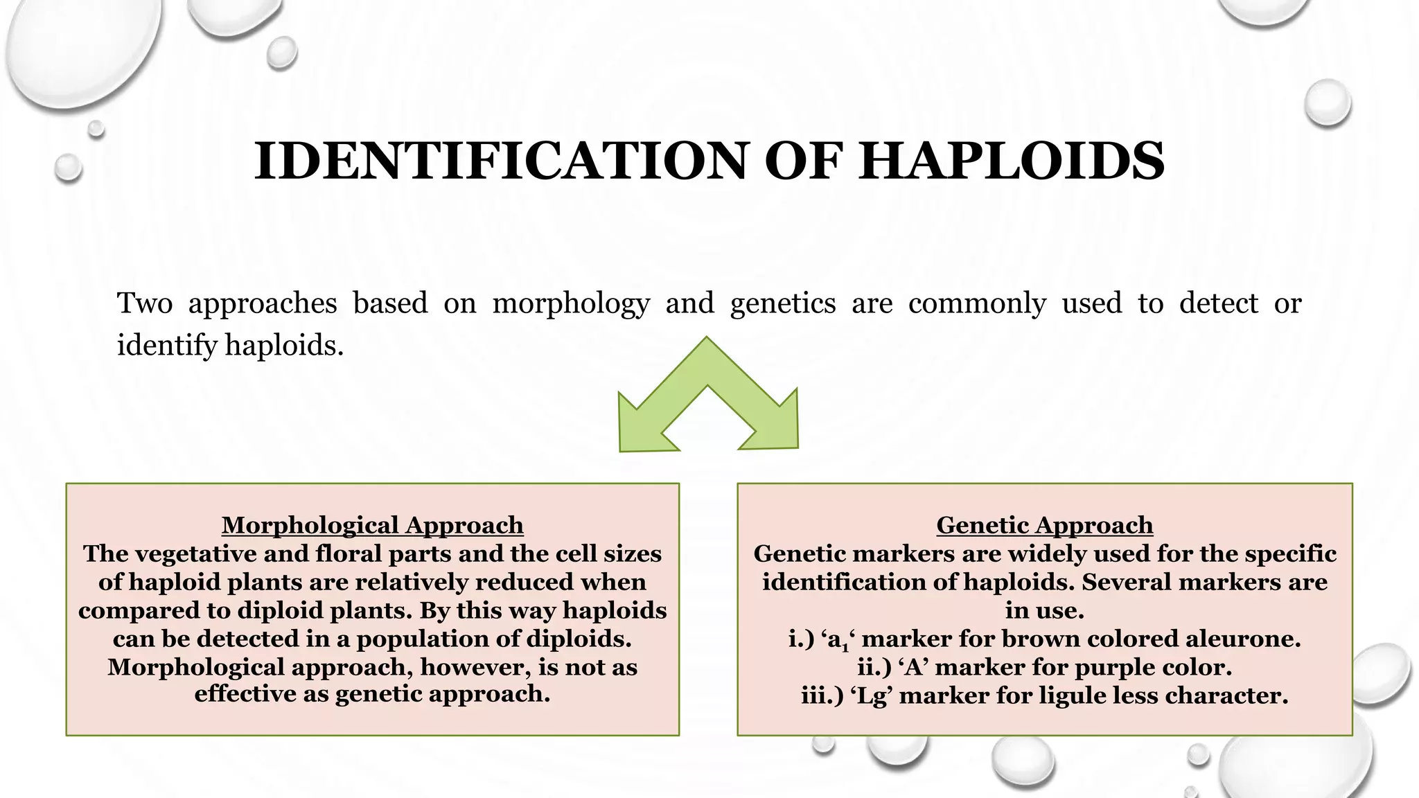 PRODUCTION OF HAPLOID PLANTS AND HOMOZYGOUS DIPLOID LINES | PPTX